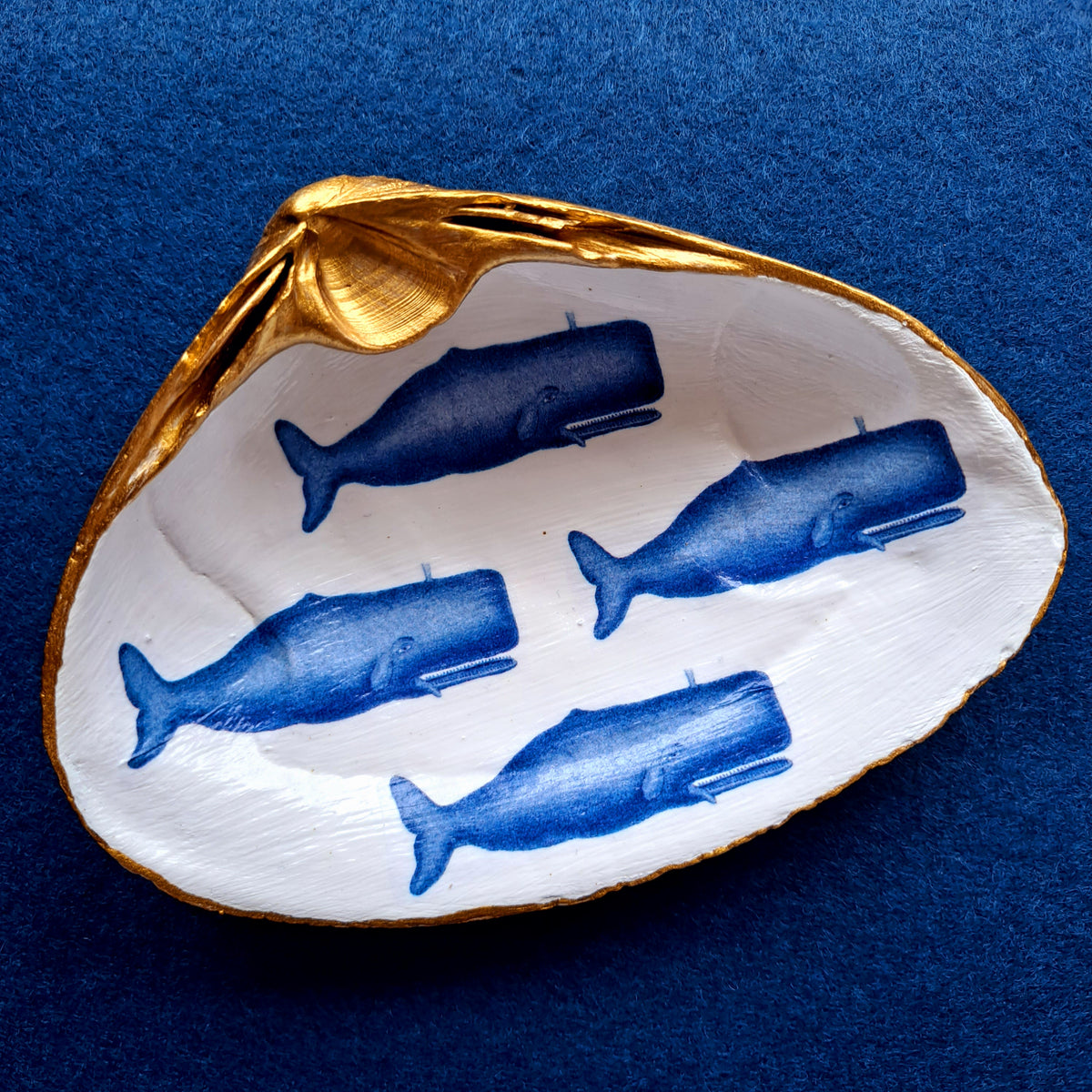 Moby Whale – Blue Door Vibes